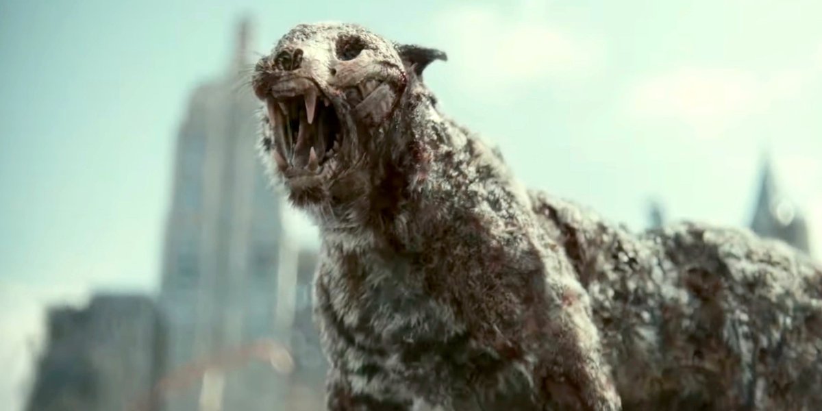 How to Survive a Zombie Apocalypse: Your Questions Answered! - The ...